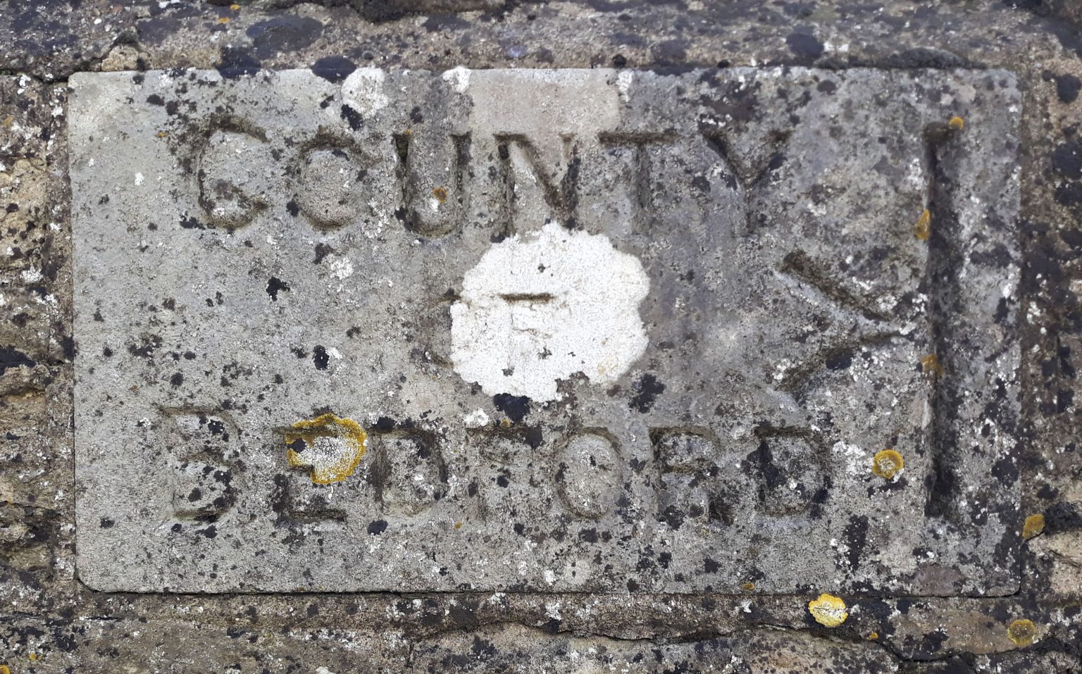 Out of Bounds – Priory of Our Lady of Peace